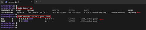 Private Docker Registry Setup Sysops