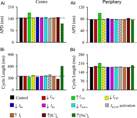 Role Of Each Individual Ischemic Action On Apd A And Pacemaking Cycle Download Scientific
