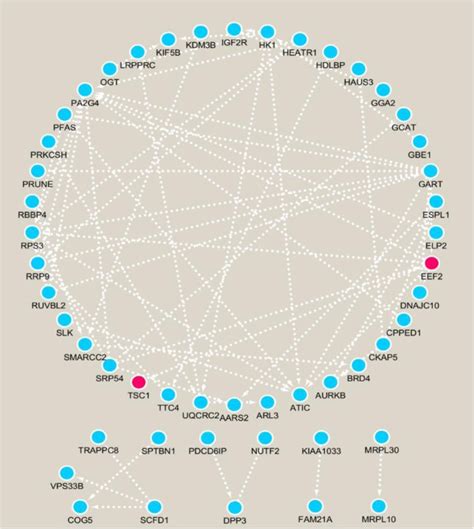 Progeo Neo A Customized Proteogenomic Workflow For Neoantigen