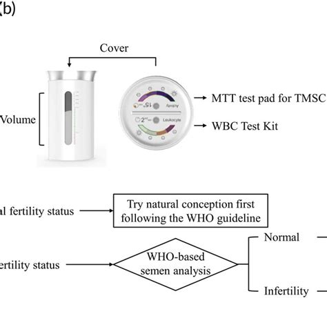Potential Clinical Application Of The MTT Test Strip The Download Scientific Diagram