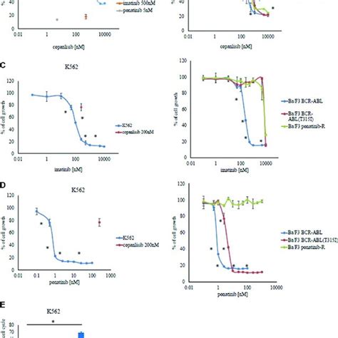 Effects Of Copanlisib And Abl Tkis On Bcr Abl Positive Leukemia Cells Download Scientific