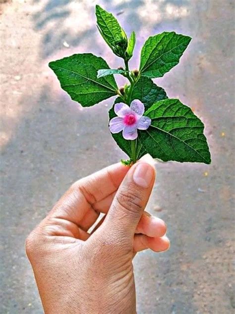 Ariful Islam Arif Posted On Linkedin