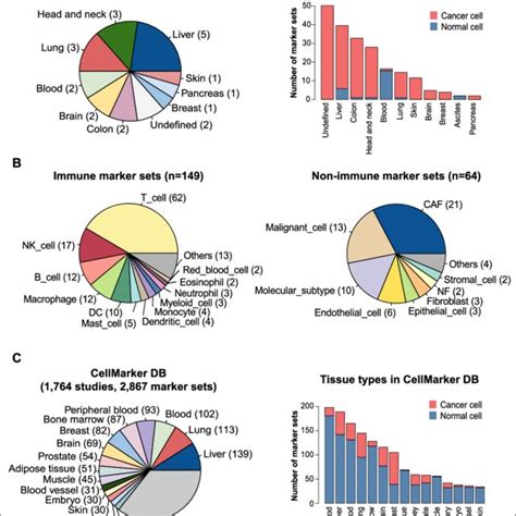 The Manually Curated Cell Marker Databases In Sctyper A A Pie Plot Download Scientific