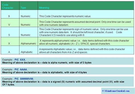 Cobol Data Items