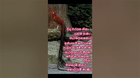 සොබාදමට පින් දෙමි නිසඳැස් කවි Sinhala Nisadas Youtube