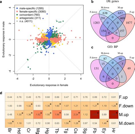 Figures And Data In Rapid Sex Specific Adaptation To High Temperature In Drosophila ELife