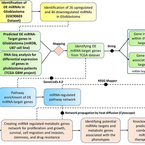 flow diagram of the protocol followed for screening of potential mirnas