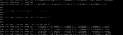Model Outputs Nan Vision Pytorch Forums