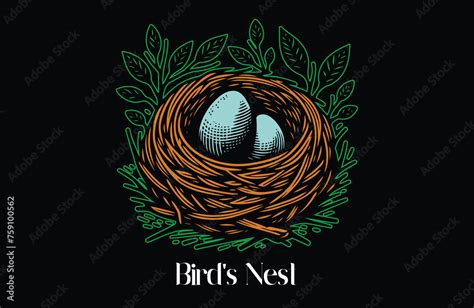 Bird Nest With Eggs Pen And Ink Vector Drawing Illustration Of A Bird S Nest Hand Drawn Sketch
