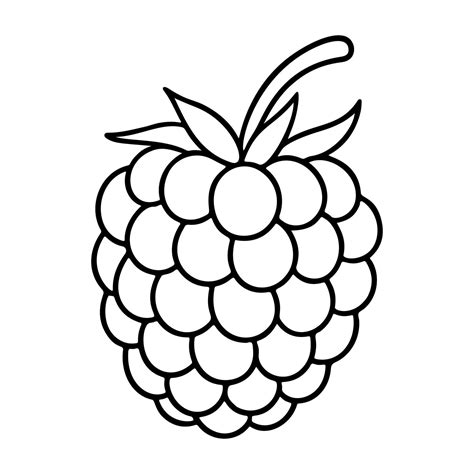 Raspberry Outline Black And White Icon Clean Line Art Doodle Style