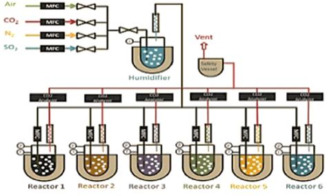 Solvent Screening At Dale Duffin Blog