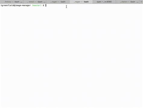 Writing Versionable Releasable Vuejs Components For Use In Any Js