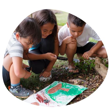 Evs Tuition Classes Edunique Evs Tuition Classes Edunique