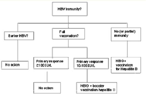 English World Gastroenterology Organisation