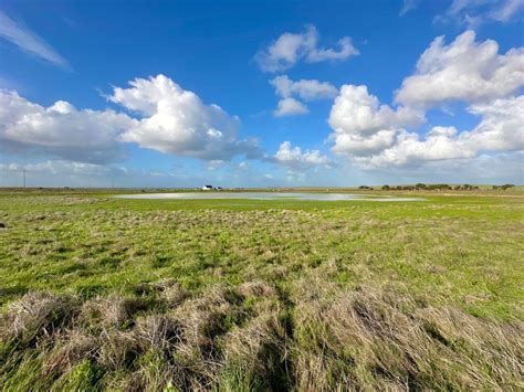 Vacant Land Plot For Sale In Darling P24 116140939