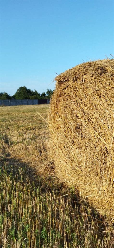 Stack By Riaklim On Deviantart