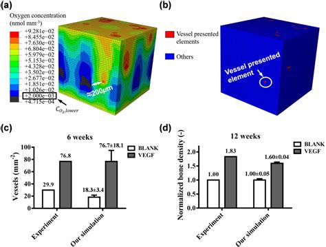 Comparison Between The Simulation Prediction And Experimental Data A