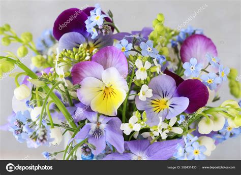 Purple Forget Me Not Flower