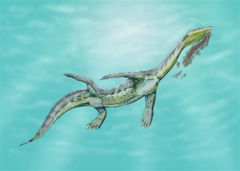 Triassic Animals Discover The Animals That Lived In The Triassic Period