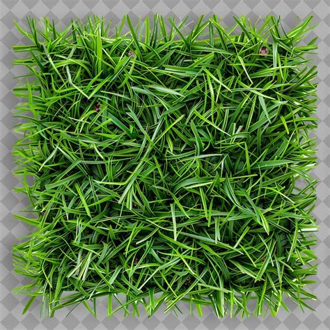 Best Artificial Grass Psd High Quality Free Psd Templates For Download
