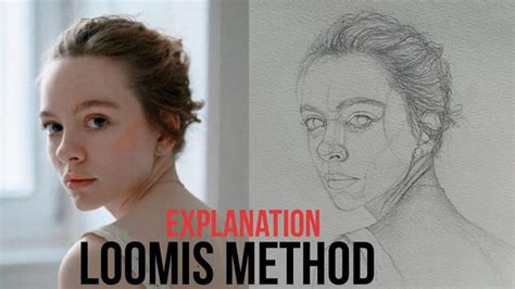 How To Draw A Portrait Using Loomis Method Portrait Drawing Portrait