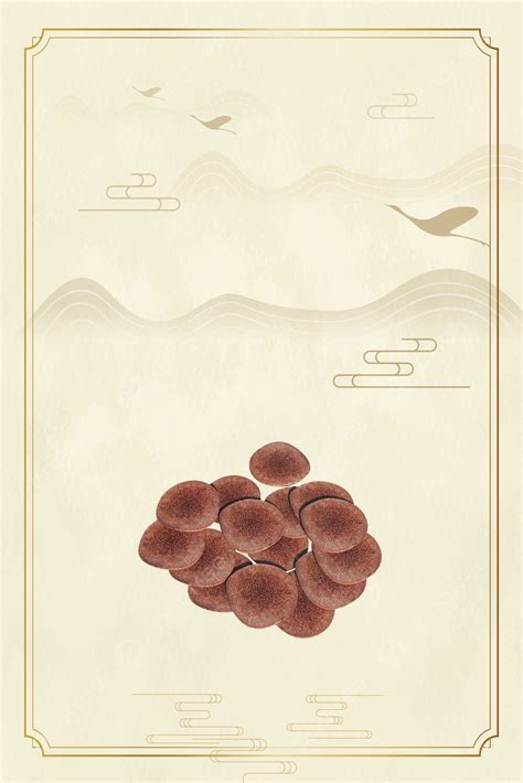 귀리 배경 일러스트 귀리 사진 및 배경 화면 무료 다운로드 Pngtree