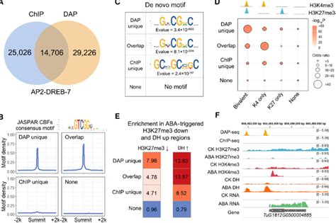 Concordance Of Dap Seq And Chip Seq Peaks A Venn Diagrams Showing
