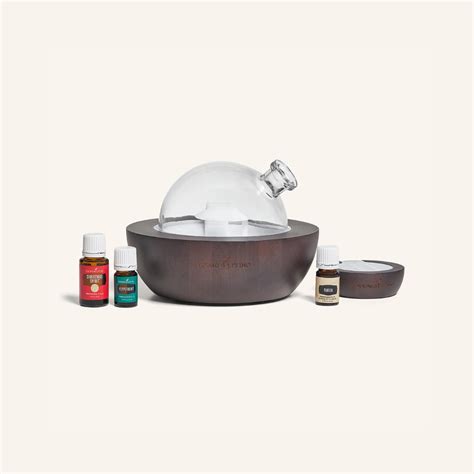 Mini Aria Collection Healthy Sexy Wise