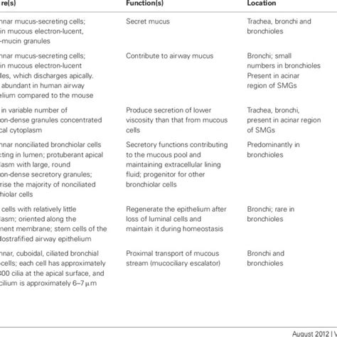 Major Cell Types Of Respiratory Tract Epithelium Download Table