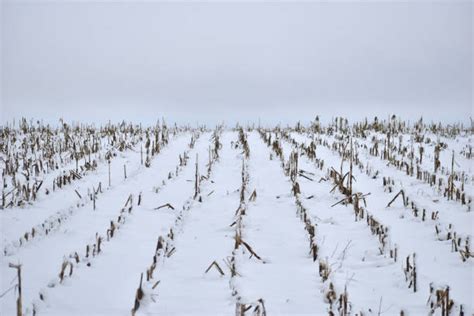 6.500+ Fotos, Bilder und lizenzfreie Bilder zu Acker Winter - iStock