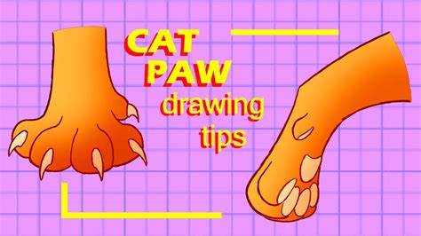 Cat PAW Drawing Tips YouTube