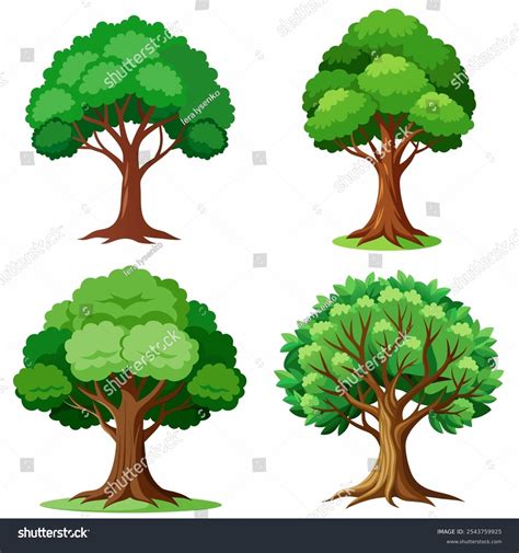 Four Different Types Trees Shown Row Stock Vector Royalty Free Shutterstock