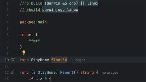 Build Constraints And Vendoring Goland Documentation