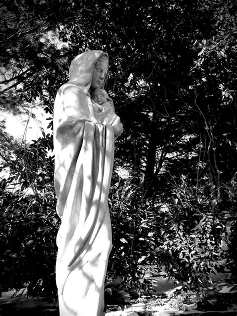 Stardust 10 Images Of The Same Object From Different Perspectives