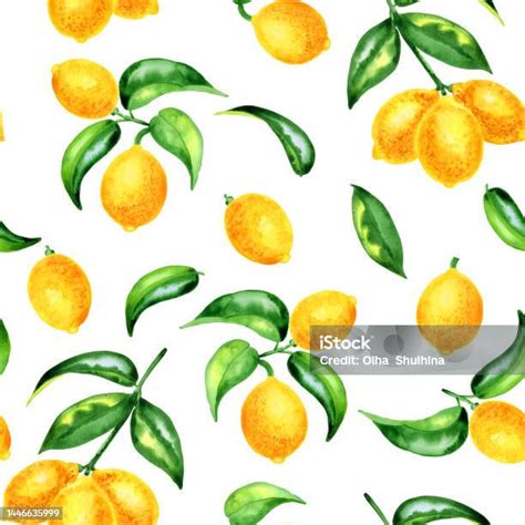 나뭇 가지에 레몬 수채화 매끄러운 패턴입니다 감귤류 노란색 과일은 벽지와 섬유에 대한 끝없는 배경입니다 손으로 그린 열대 나무 그림입니다 가리기에 대한 스톡 벡터 아트 및