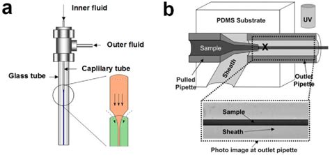 Figure 2 From Microfluidic Hydrodynamic Focusing For Synthesis Of Nanomaterials Semantic Scholar