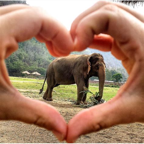 Chimo Mexico 30 Min South Of Yelapa — My Deztination