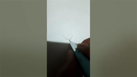 Monkey D Lufi Youtube