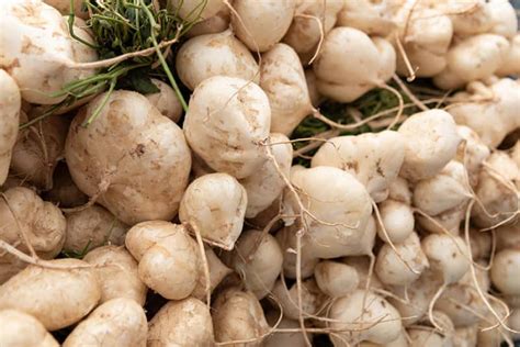 Download Fresh And Raw Jicama Root Wallpaper