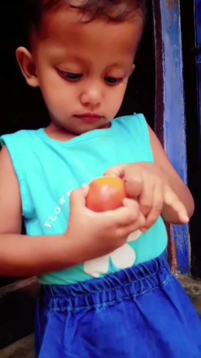 Tamatar 🍅 Youtube