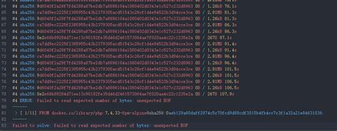 创建php应用老失败 Panel 社区论坛 FIT CLOUD 飞致云