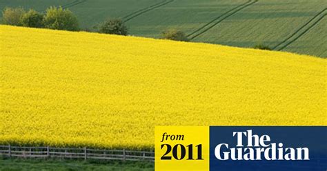 Agricultural Land Prices Hit Record High Commodities The Guardian