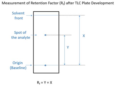 Mcat Biochemistry Lecture 4 Lab Techniques Flashcards Quizlet