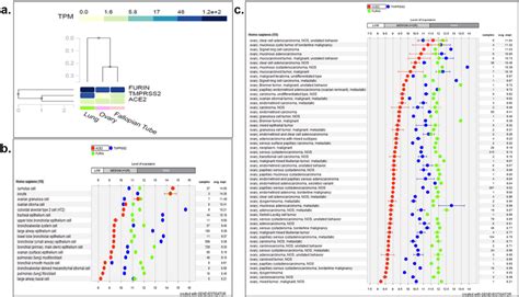 In Silico Gene Expression Profiles In Various Tissues Expression Of