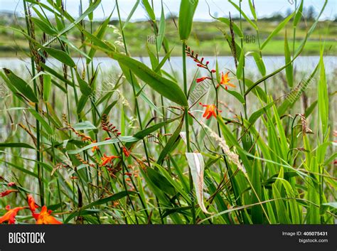 View Beautiful Lake Image And Photo Free Trial Bigstock