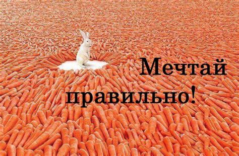 Долгий путь к мечте | Мотивация, Мечта