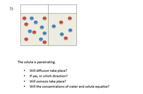 Solved 1 Fill In The Blanks With Hyposmotic Hyperosmotic