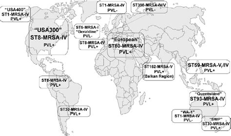Figure 1 From Molecular Effects Of Staphylococcus Aureus Toxins And