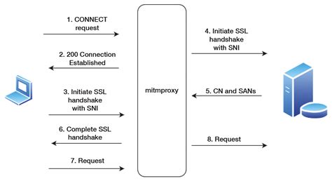 Traffic Analysis With Mitmproxy Digitalocean