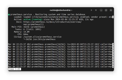 Homelab Monitoring Ibm Db2 Dengan Prometheus Dan Grafana Rochims Log